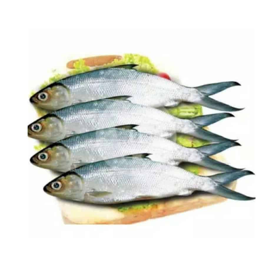 Ikan Bandeng Basah Kecil 1 kg – Pasar Segar
