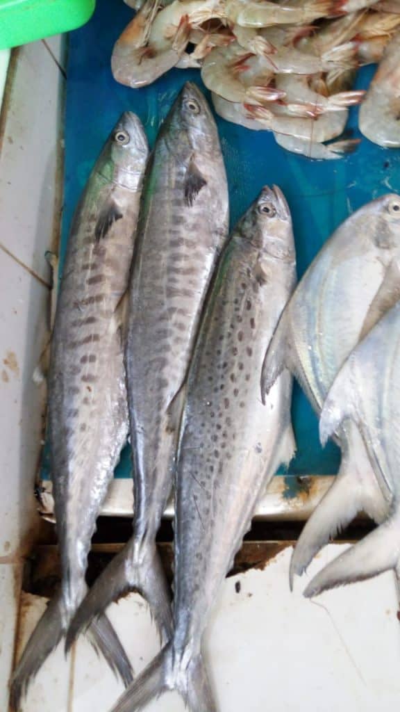 Ikan Tenggiri 1 Kg – Pasar Segar