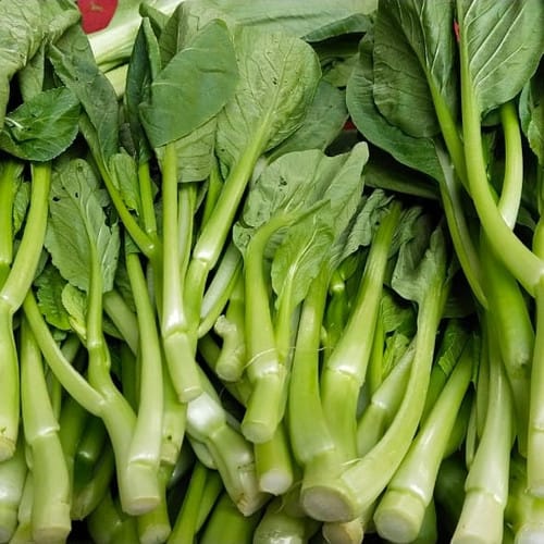 Caisim 500 g – Pasar Segar