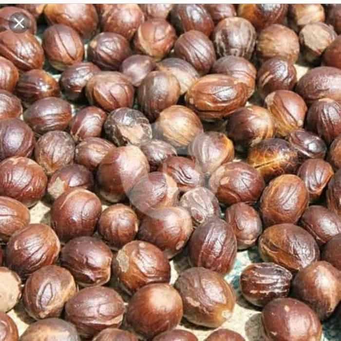 Biji Pala 1 Butir – Pasar Segar