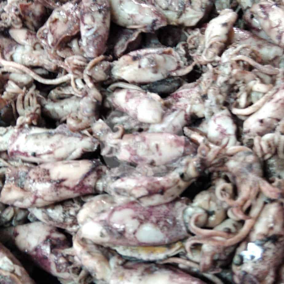 Cumi Baby Kering Asin 1 Ons – Pasar Segar